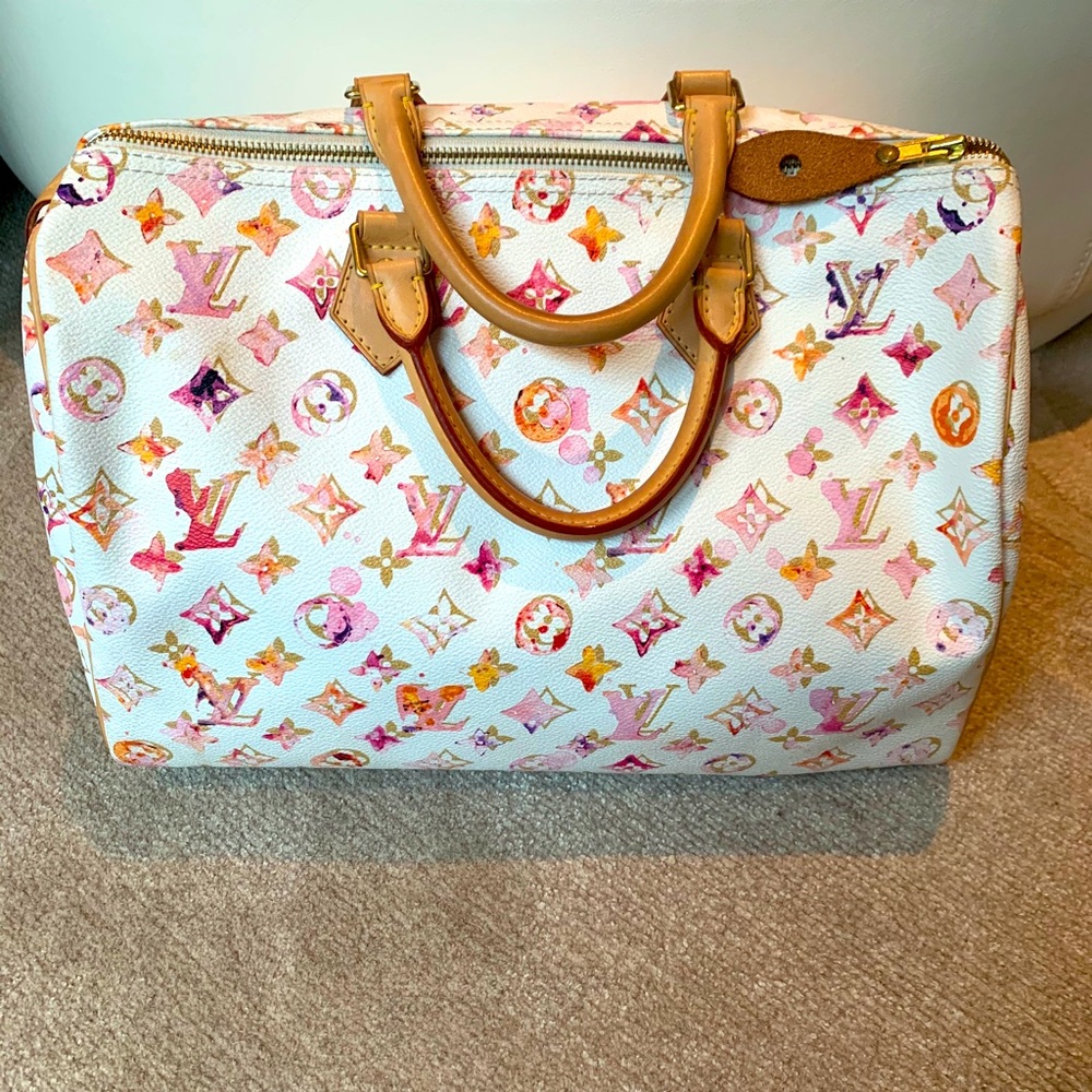 Watercolor Richard Price Louis Vuitton Speedy - Gem
